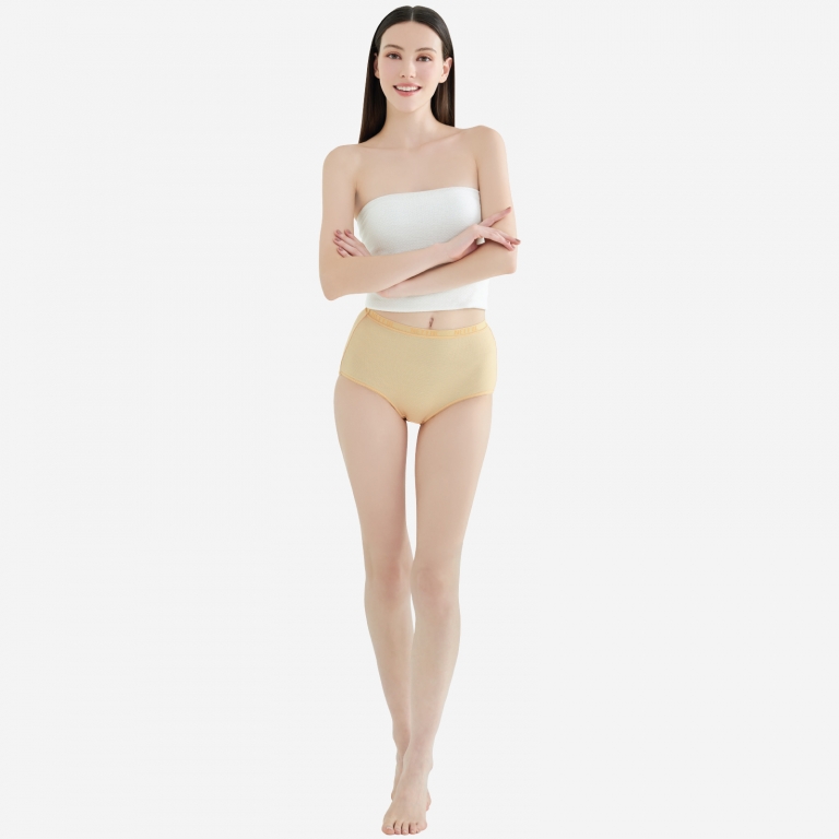 UW611 仕女高腰內褲(兩件裝) – Nefful Hong Kong Limited